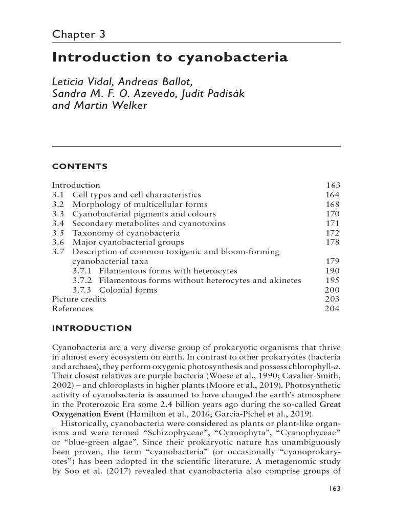 Overview of Cyanobacteria Characteristics | PDF | Cyanobacteria ...