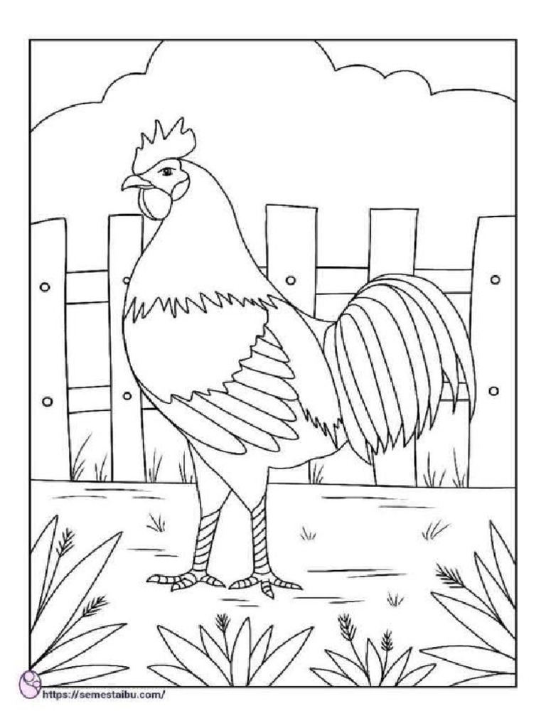 rooster | PDF