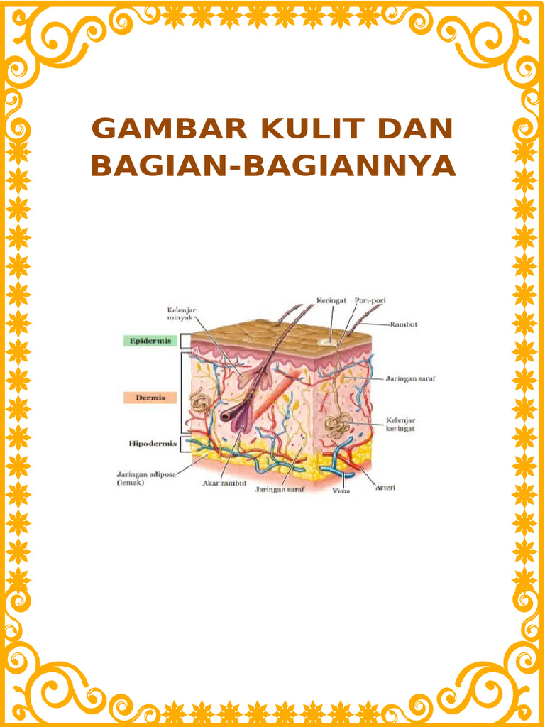 GAMBAR KULIT DAN BAGIAN | PDF