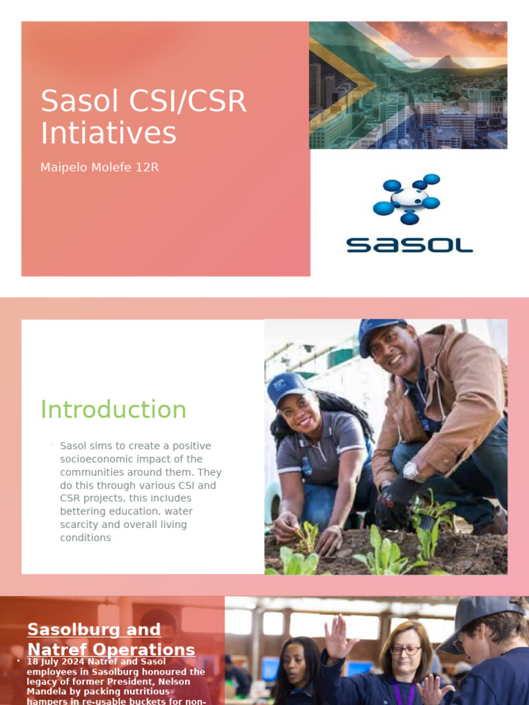 Maiple Presentation | PDF