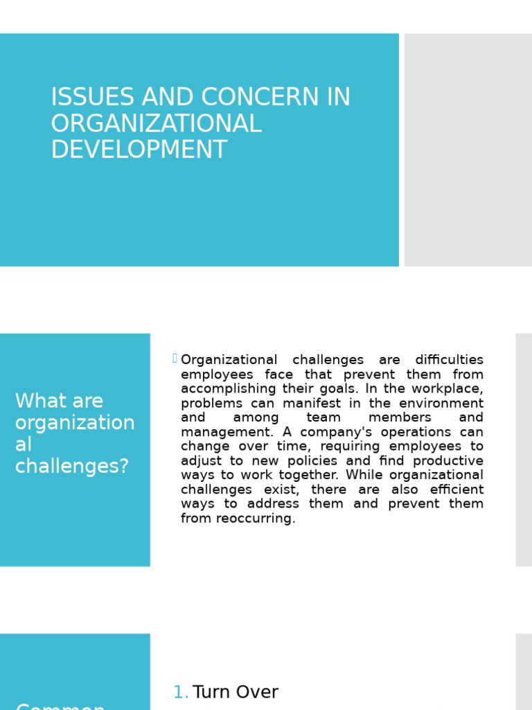 Issues and Concern in Organizational Development | PDF