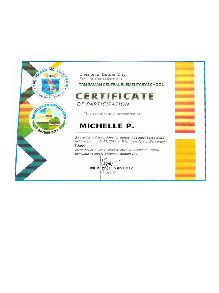 INSET Cert January 2024 | PDF