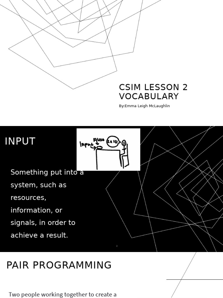 CSIM Lesson 2 Vocabulary | PDF