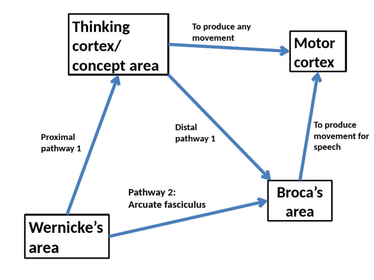 Aphasia flow chart | PDF