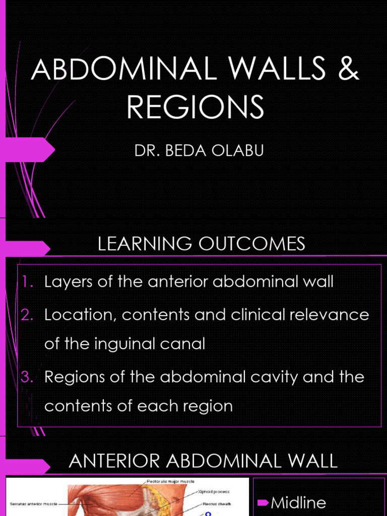 14 - Abdominal Walls Abdominal Regions | PDF