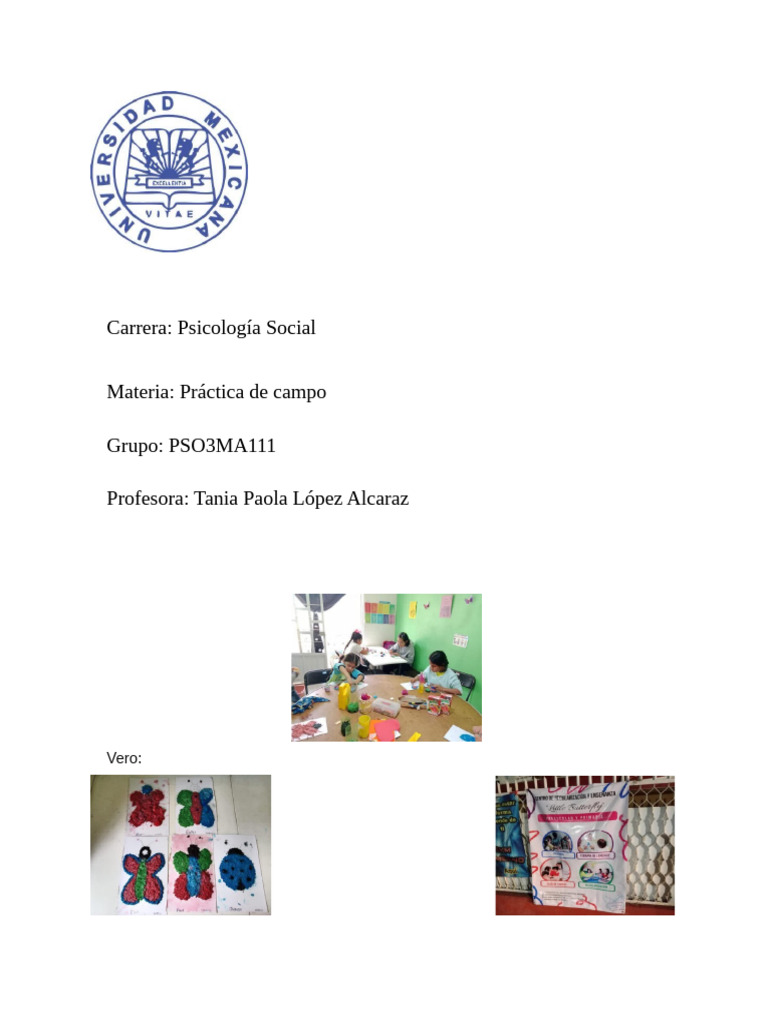 Practica de Campo | PDF | Las emociones | Aprendizaje