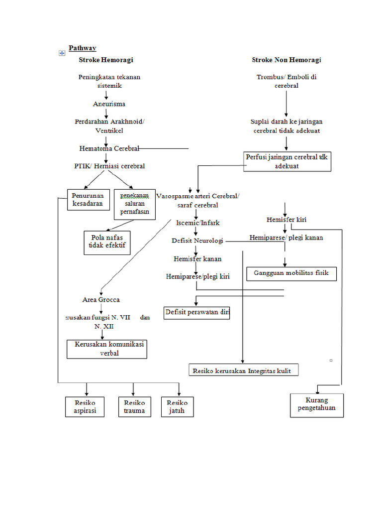 Pathway Stroke | PDF