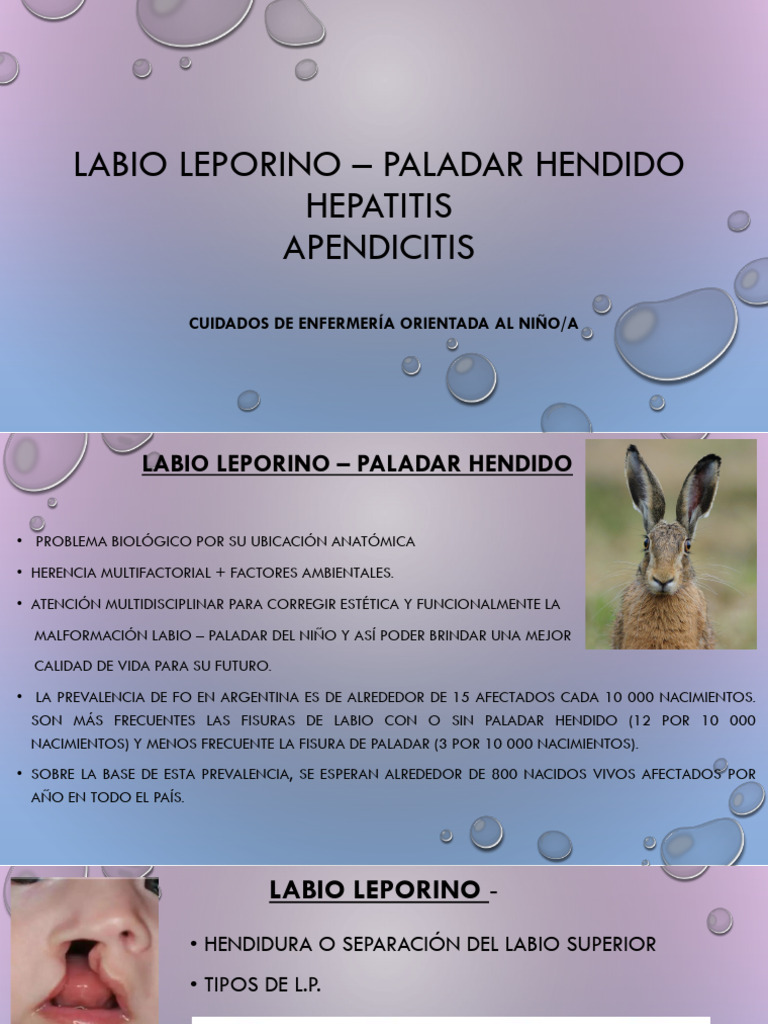 PH - LP.HEP - AP. PP Compartir | PDF | Hepatitis | Causas de la muerte