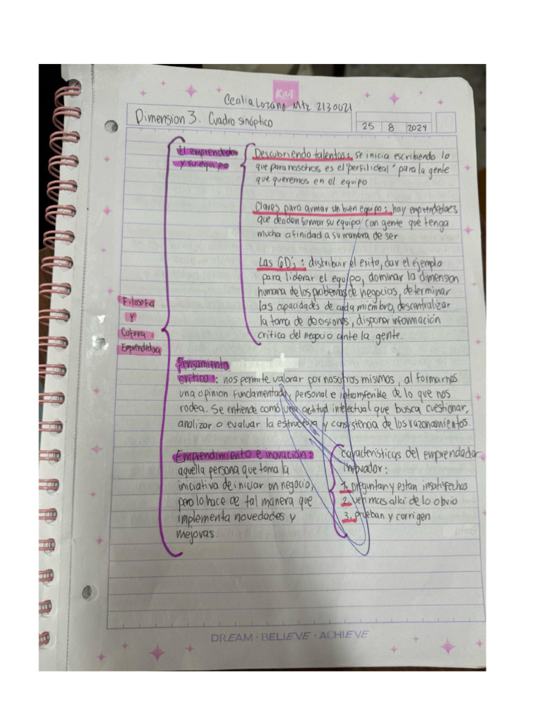 Dimension3 ACLM E1 | PDF