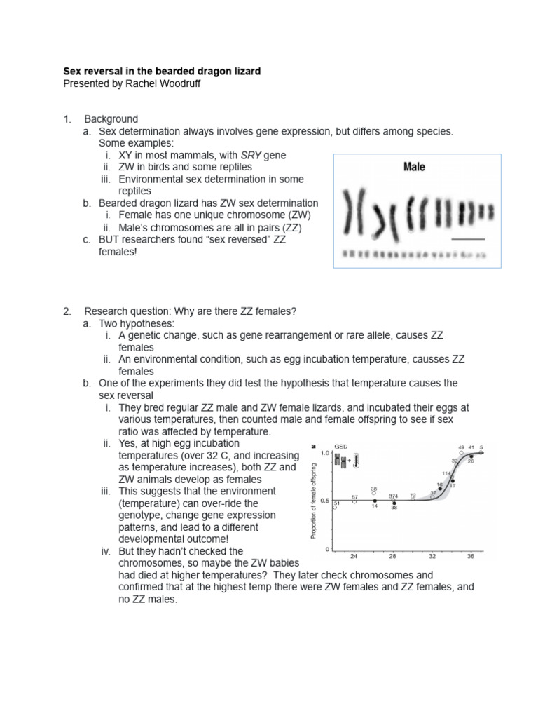Genetics Research Talk Outline Example | PDF | Sex | Genetics