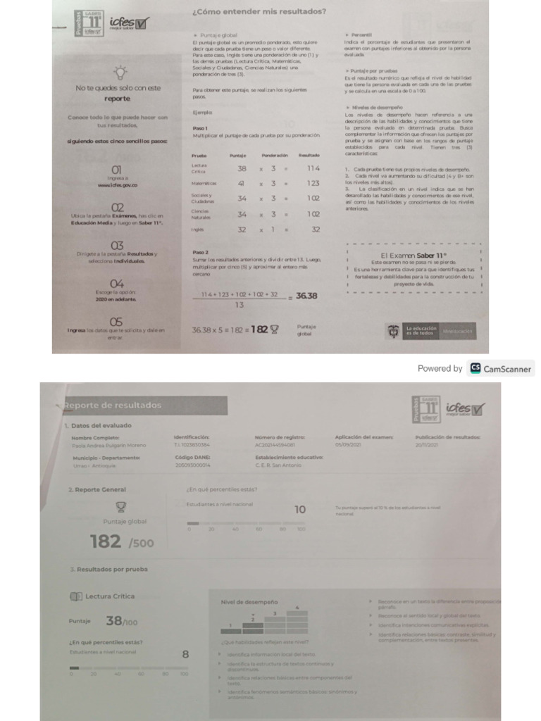 Resultados Icfes | PDF