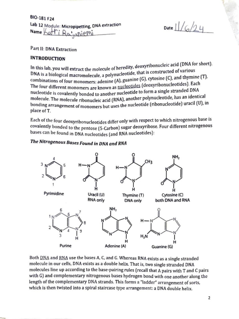 Week 12 Lab DNA Extraction | PDF | Nucleotides | Rna