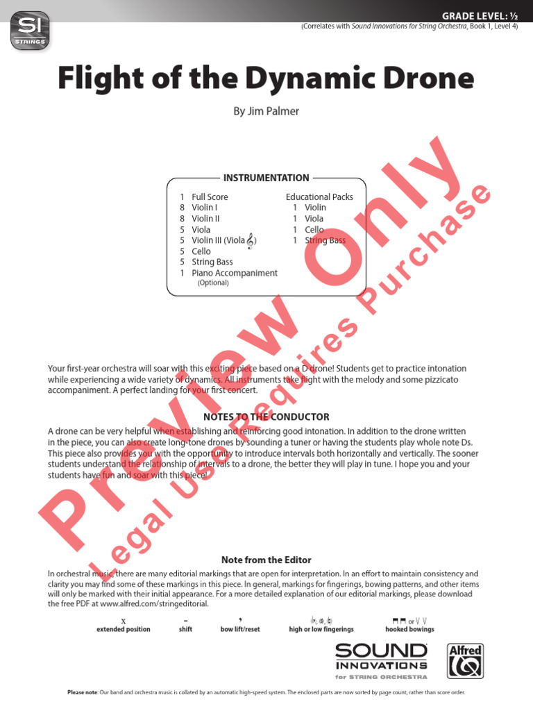 Flight of The Dynamic Drone | PDF | Violin | String Instruments