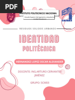 Colores del IPN: Guinda y Blanco | PDF