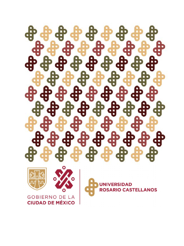 Ldcr1der8b2 Ai Briseño Alejandra | PDF | México | Esclavitud