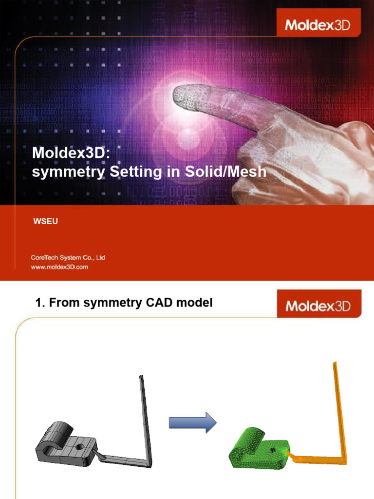 Moldex3D Symmetry Setting in Mesh | PDF