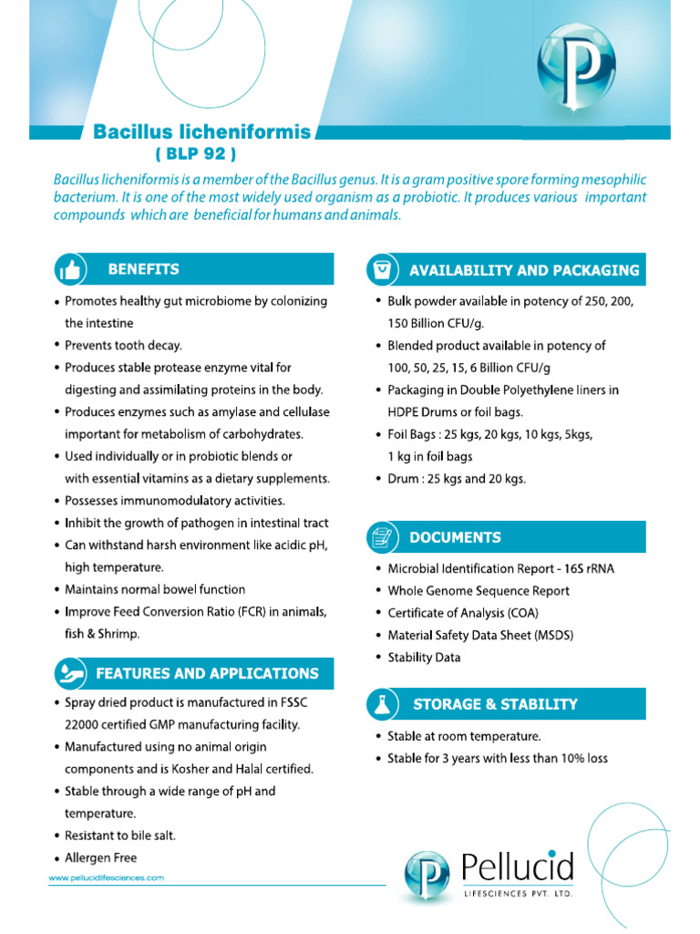 Bacillus Licheniformis | PDF