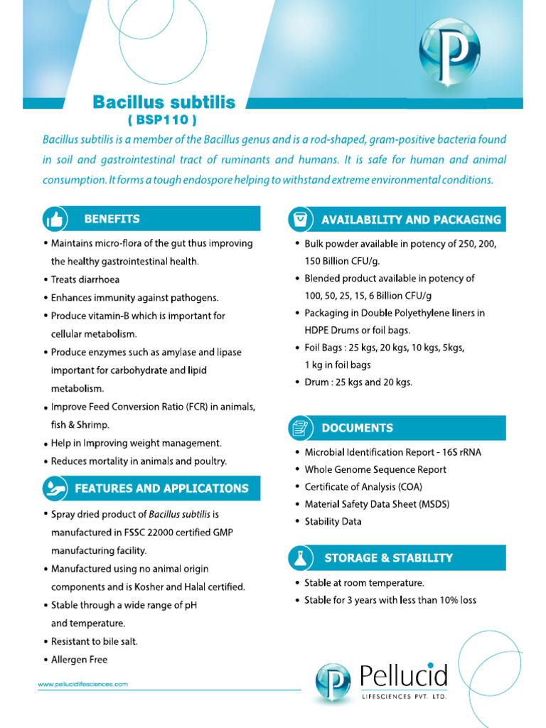 Bacillus Subtilis | PDF