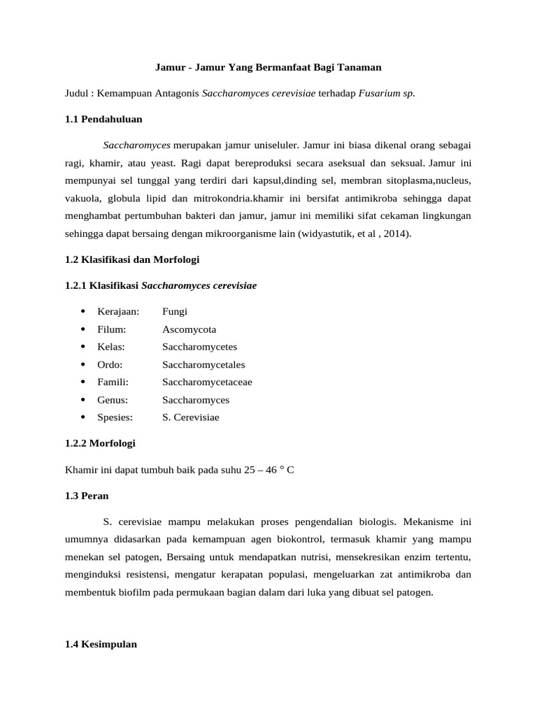 KELOMPOK 13 - Saccharomyces Cerevisiae | PDF