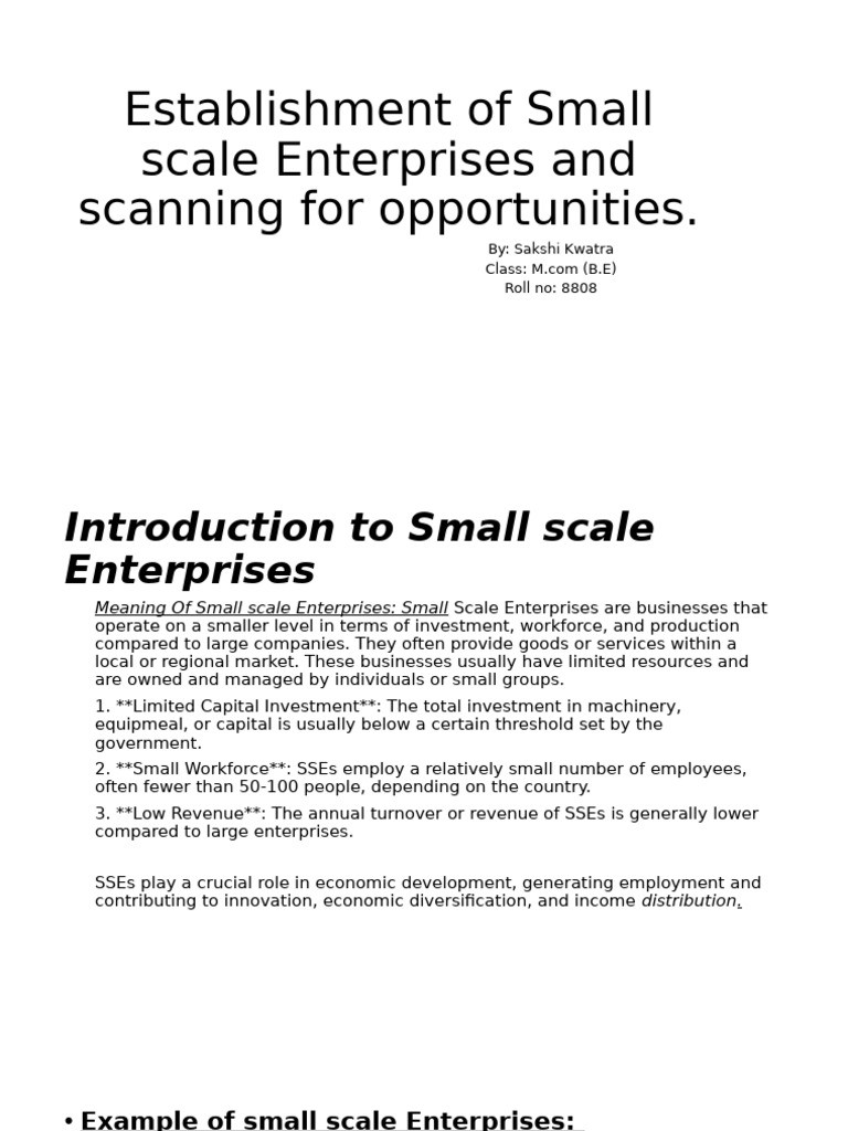 Small Scale Enterprises: Opportunities & Steps | PDF | Entrepreneurship ...