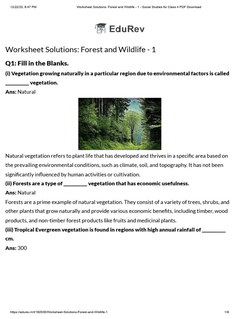 Class 4 Forest and Wildlife Worksheet | PDF | Forests | Vegetation