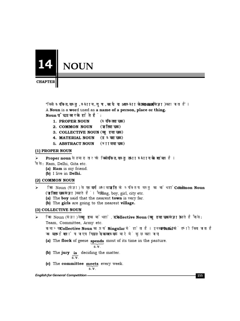 204) NOUN notes | PDF | Grammatical Gender | Plural
