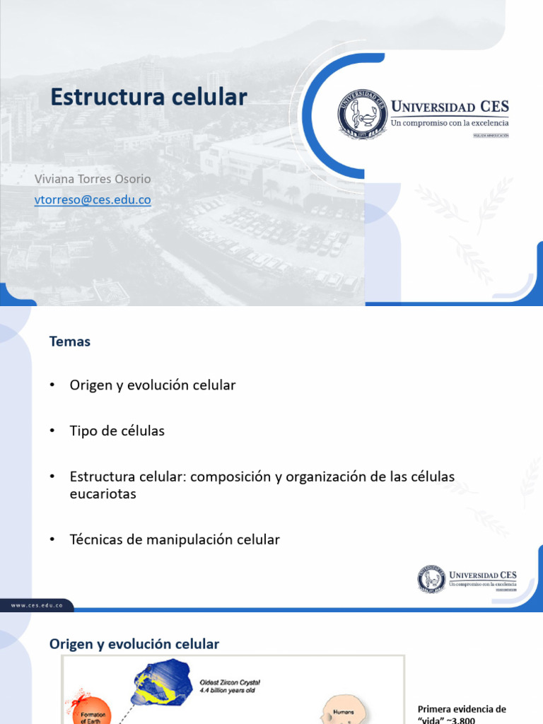 1-Origen Estructura Celular y Tipos de Celulas | PDF | Biología Celular ...