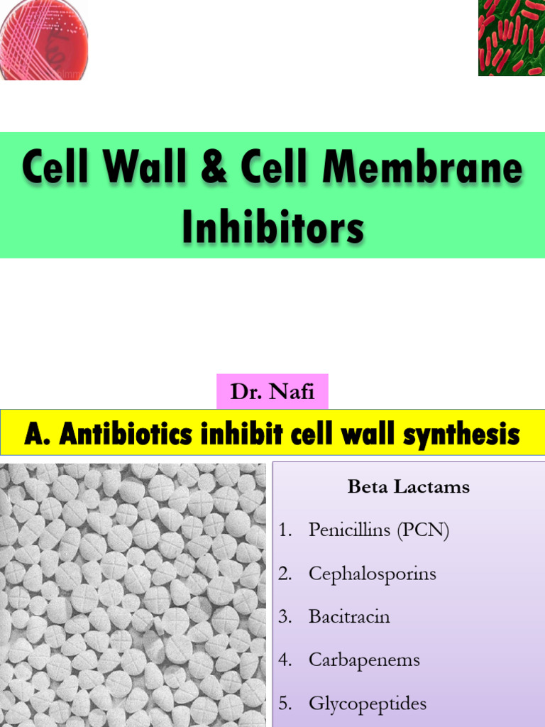 Cell Wall and Cell Membrane Inhibitors | PDF | Penicillin | Beta Lactamase