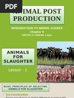 Animal Science Terms | PDF | Chicken | Cattle