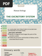 Module Excretory System | PDF | Human Body | Excretion