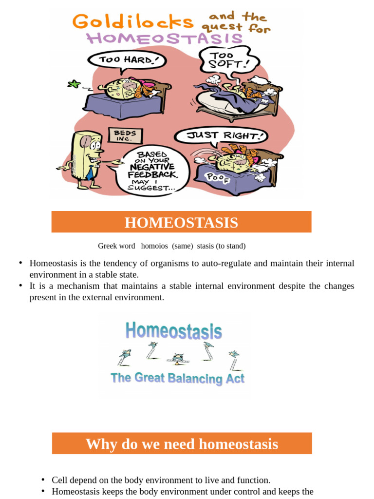 Cell homeostasis | PDF | Homeostasis | Physiology