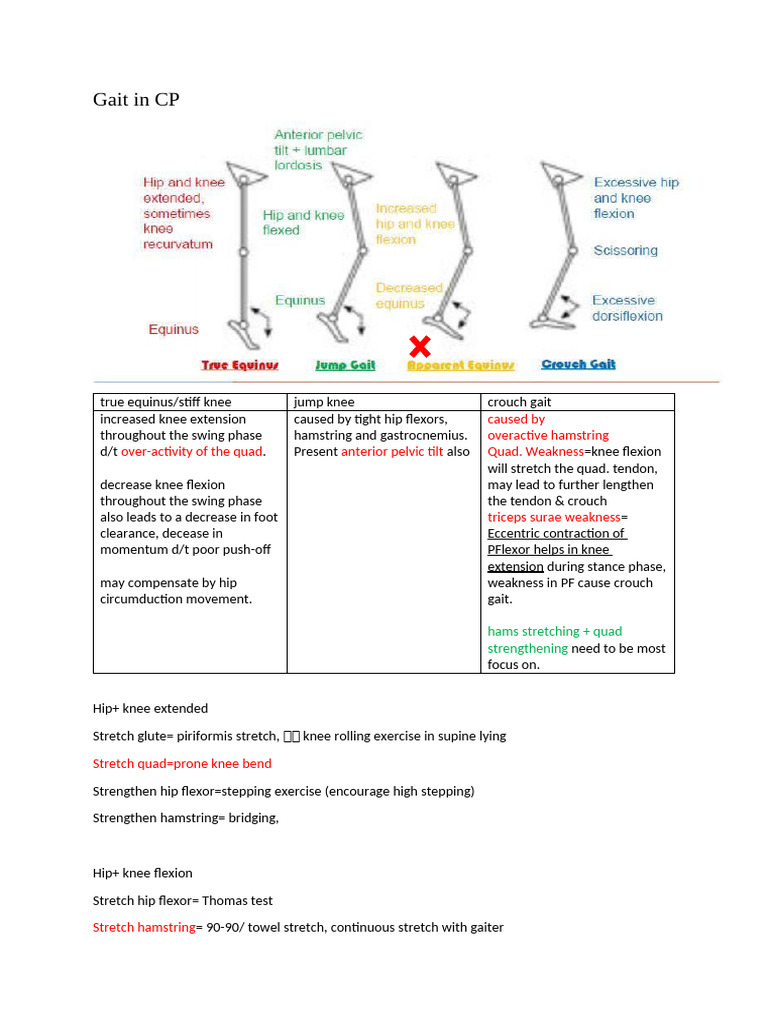 Understanding Gait Patterns in CP | PDF | Anatomical Terms Of Motion | Knee