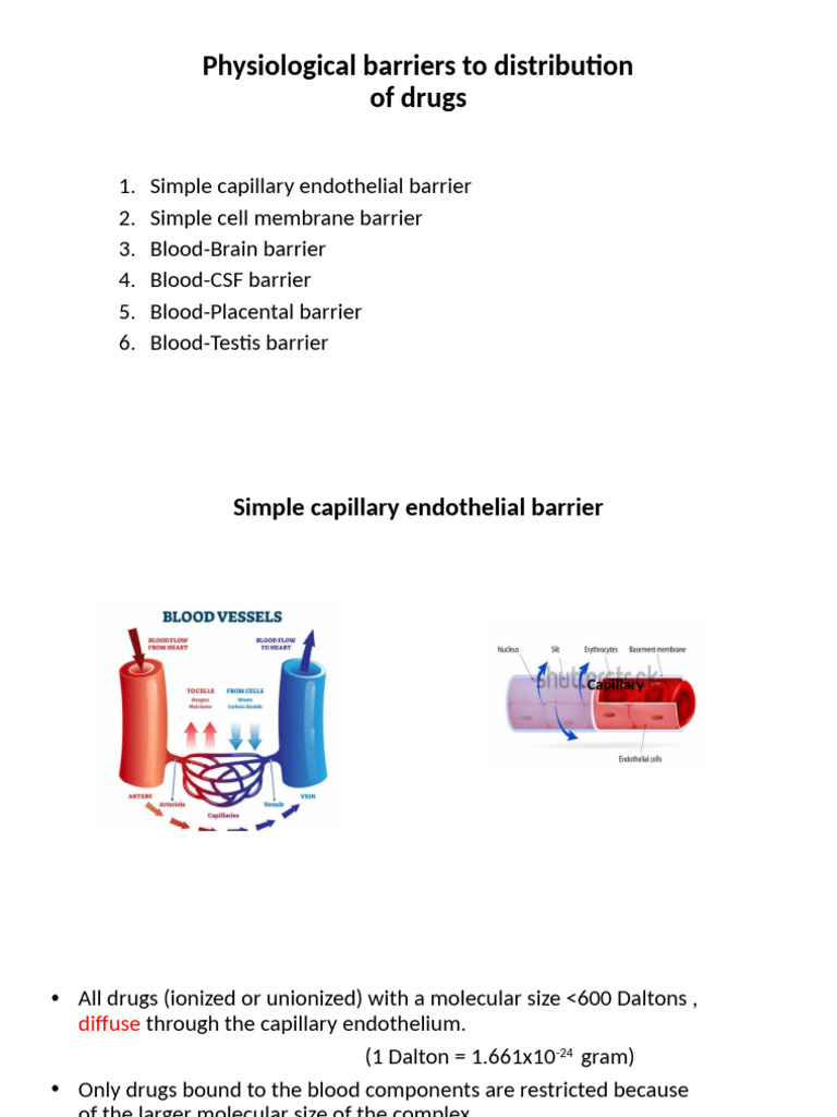 Drug Distribution Barriers Explained | PDF