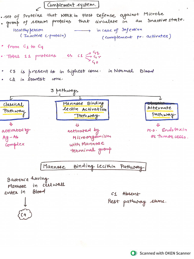 Complement System | PDF Complement System | PDF