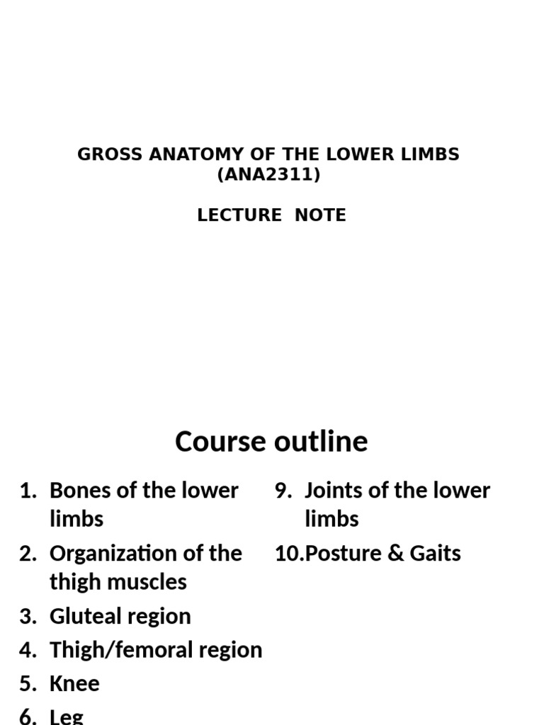 Ana2213 (Lower Limbs Osteology) | PDF | Pelvis | Human Leg