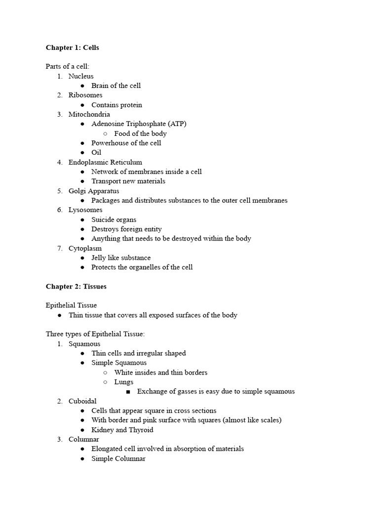 AnaPhy Lab Transcribed | PDF | Epithelium | Vertebral Column