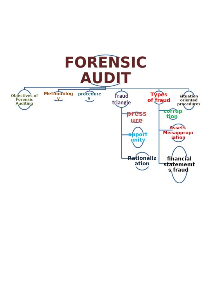 Chapter 5 Audit | PDF | Audit | Internal Control