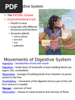 1-GIT Functional Anatomy of GIT - Dr. Gagare Dnyanesh | PDF | Human ...