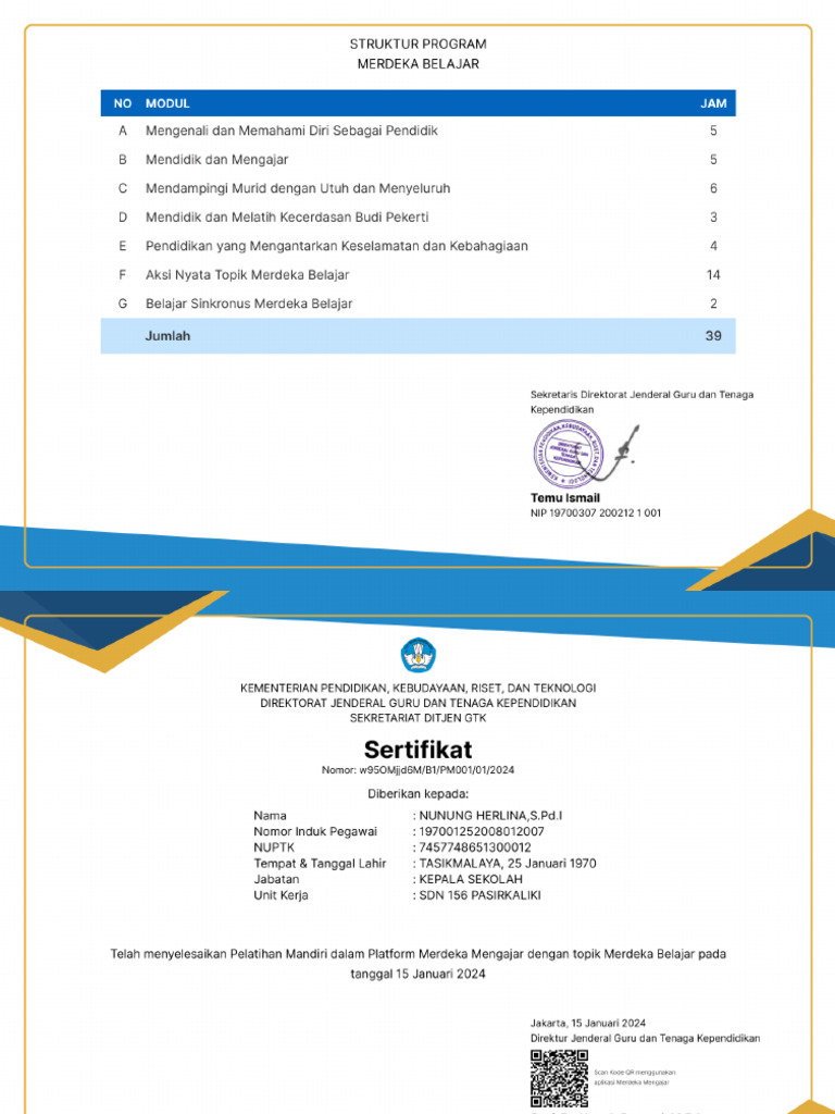 CERTIFICATE PMM | PDF
