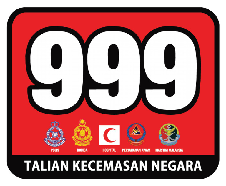 MERS 999 Logo | PDF