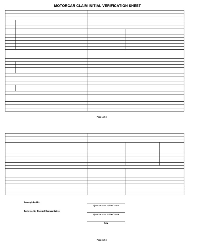 Claim Initial Verification Sheet | PDF | Transport
