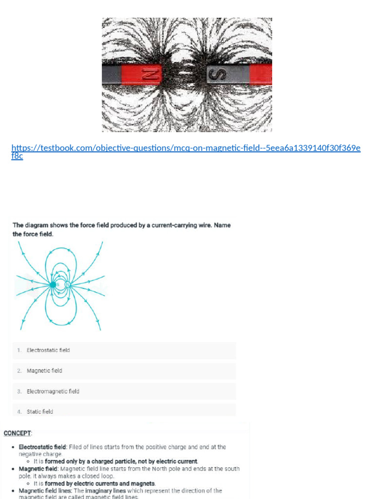 Test Ur Magnetism 2022 | PDF