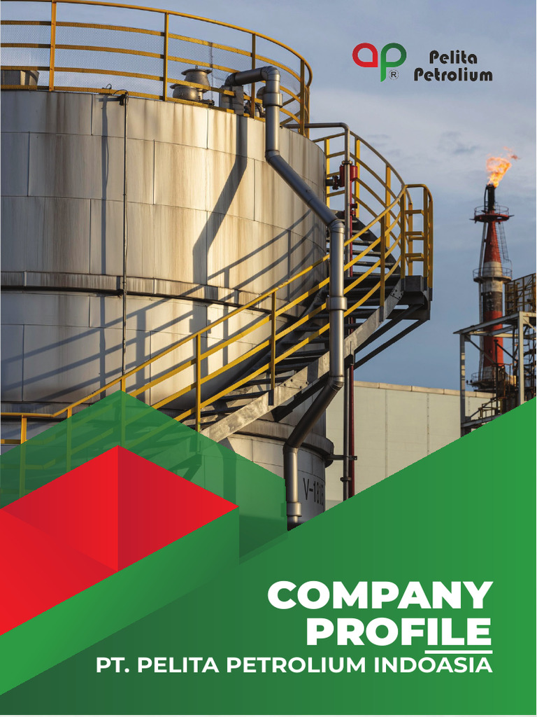 Company Profile Pt Ppi 2024 | PDF