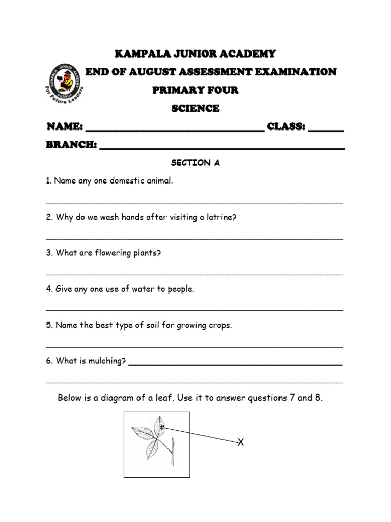 Primary 4 Science Exam Questions | PDF | Plants | Leaf