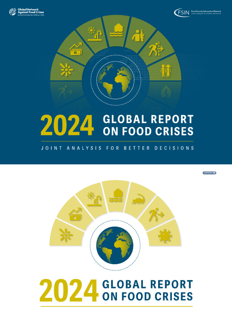 Global Report on Food Crises 2024 | PDF | Famine | Food Security