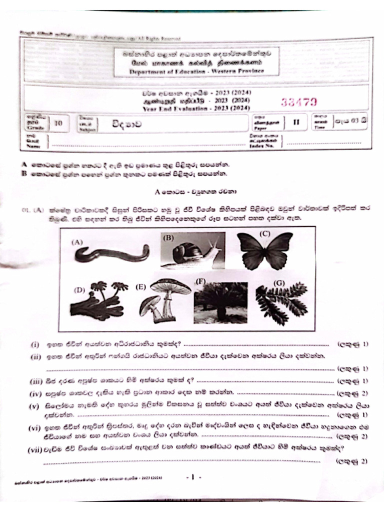 g10 Science | PDF