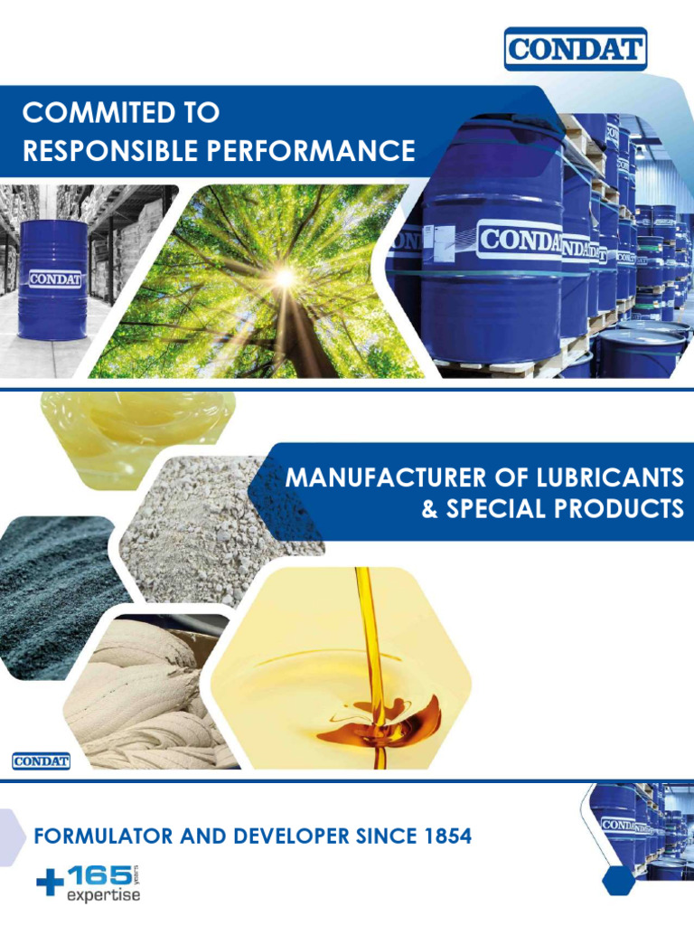 CONDAT Brief Introduction | PDF | Corporate Social Responsibility ...