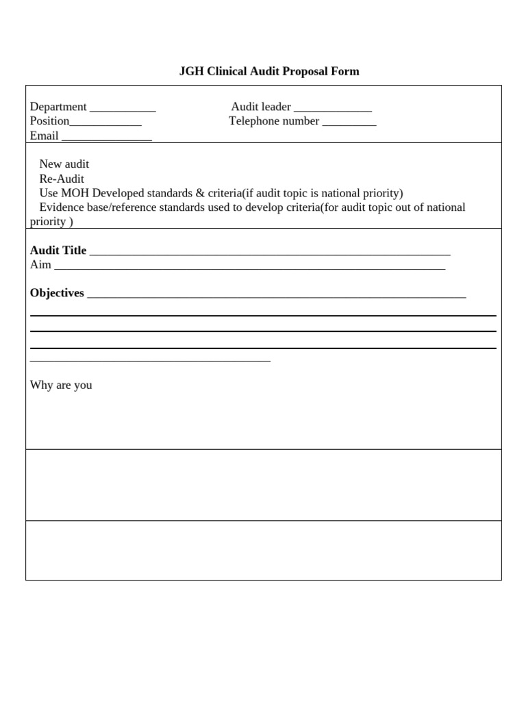 Audit Proposal Form | PDF