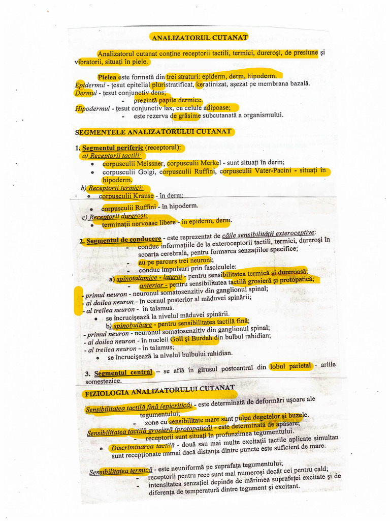 5.Analizatorul Cutanat Schita c | PDF