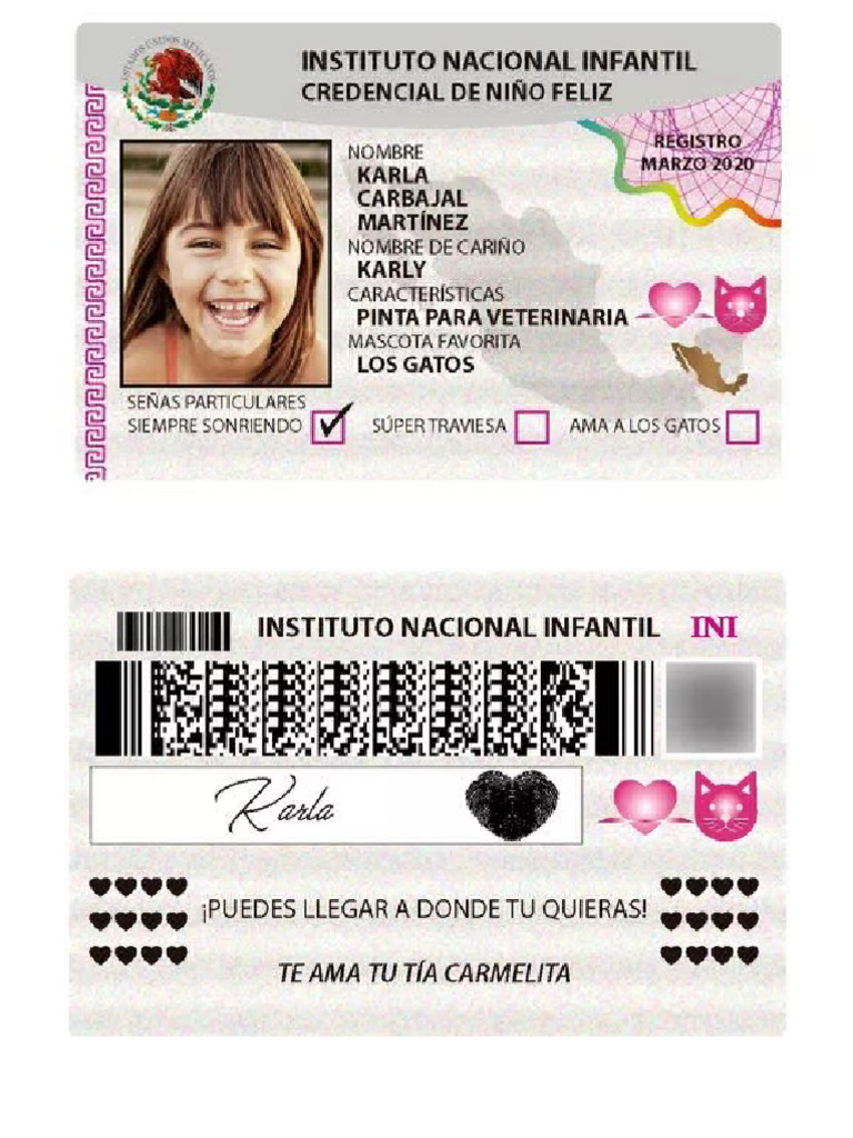 INE PARANIÑOS | PDF